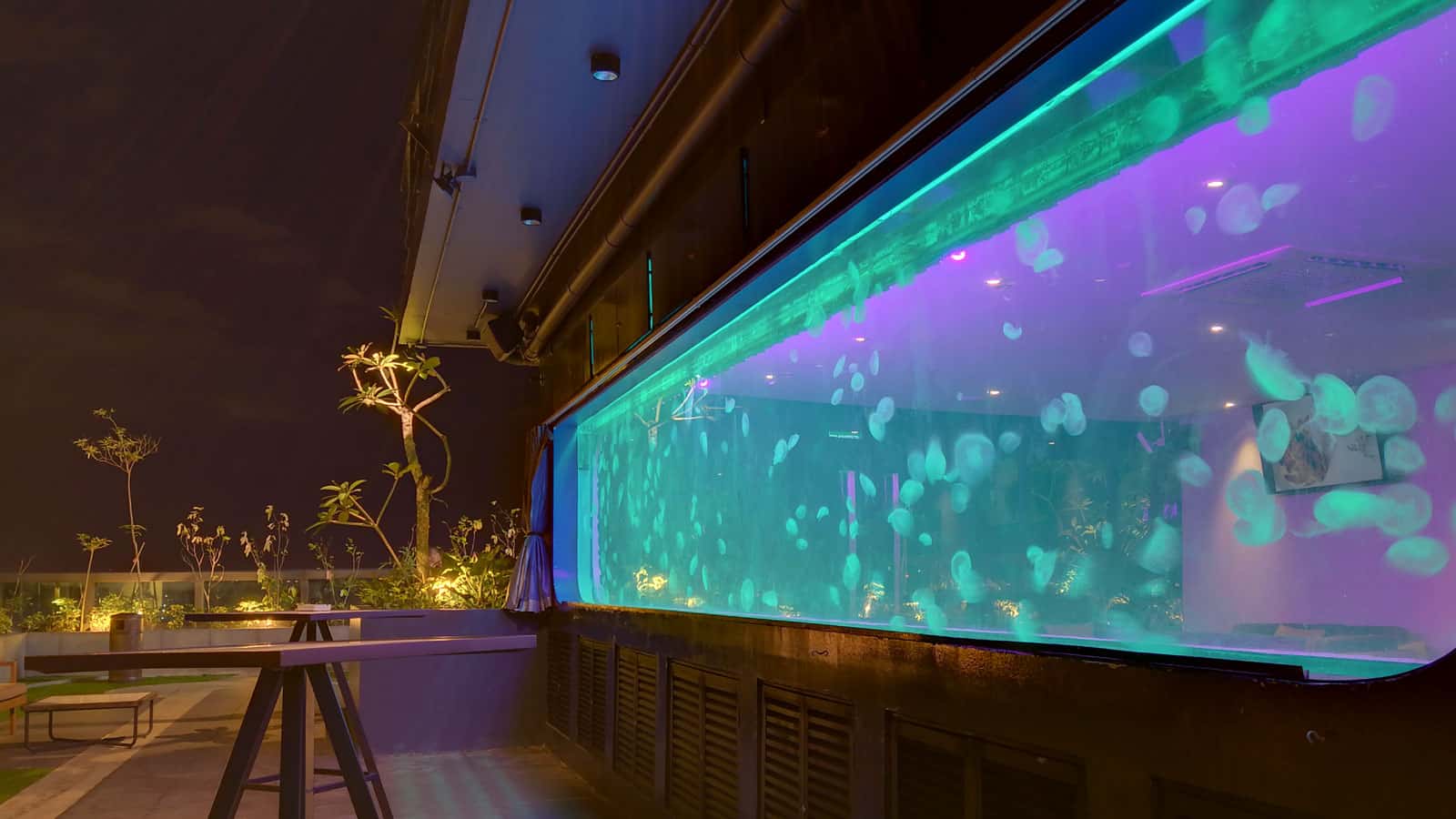 7 Of The Best Bars In Manila Philippines Guide | Enjoy Travel